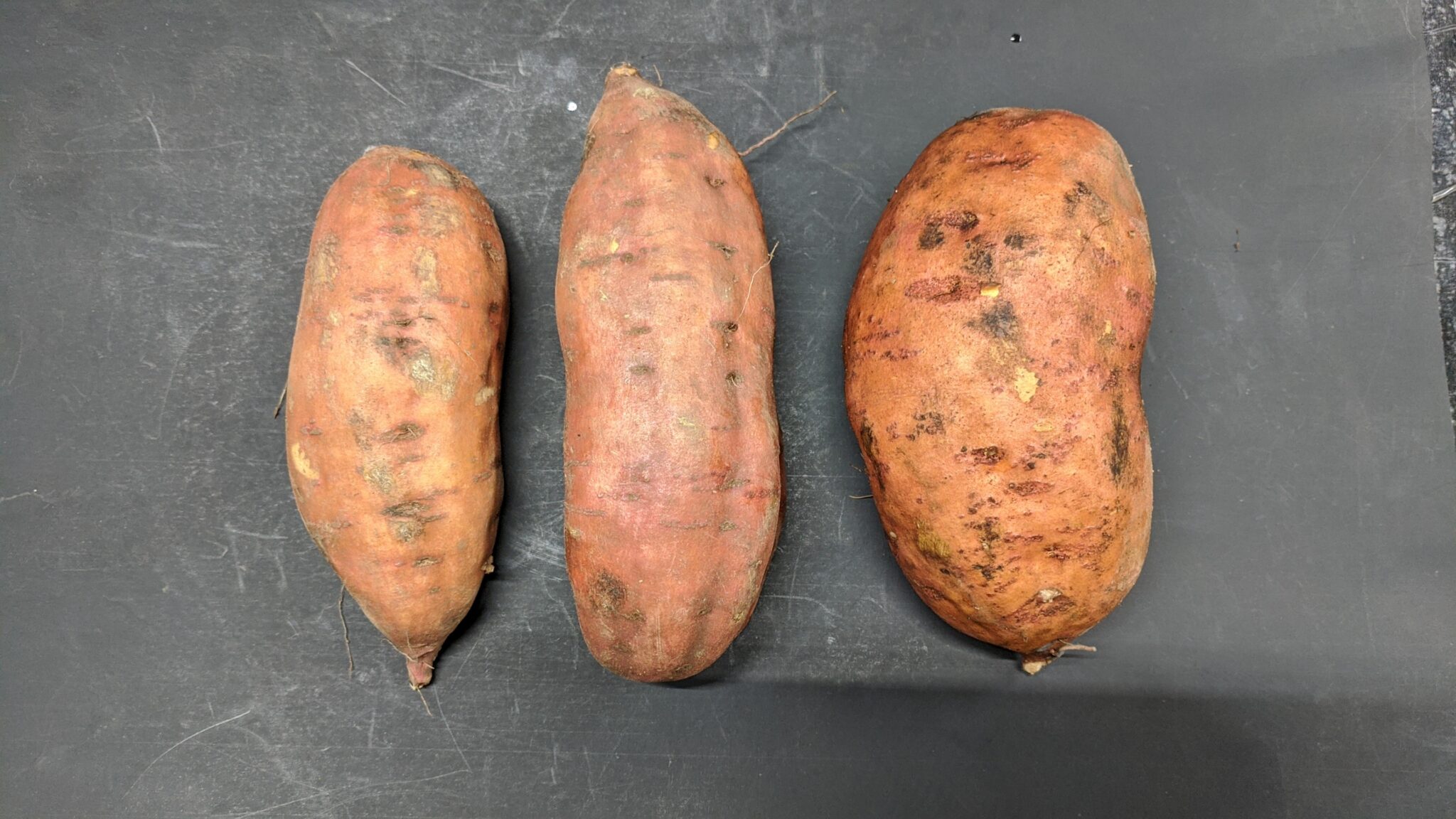 Sweet Potato | Fleetwood Farms | Fresh Ontario Apples and Vegetables in ... Sweet Potato | Fleetwood Farms | Fresh Ontario Apples and Vegetables in ...