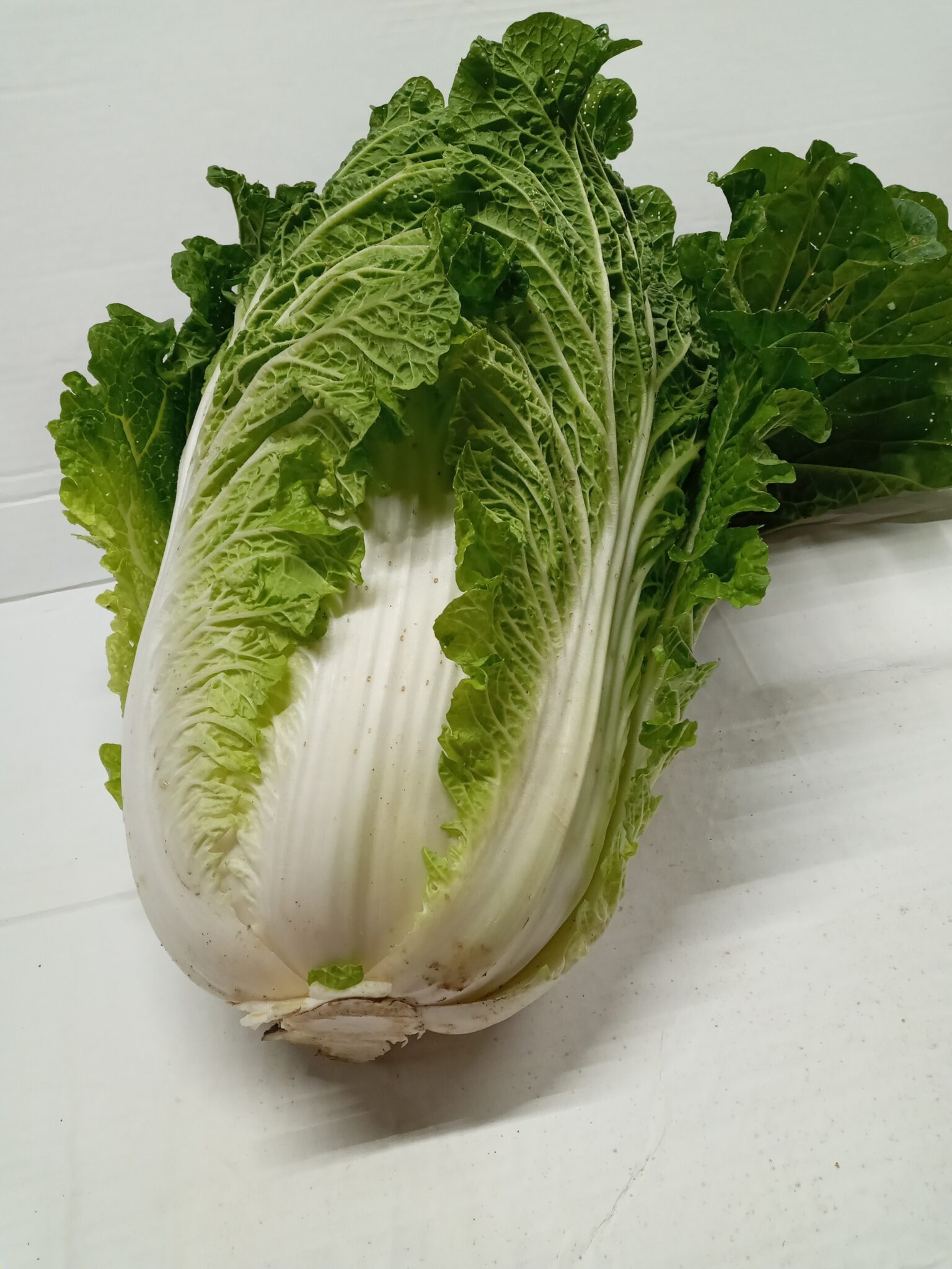 Napa Cabbage | Fleetwood Farms | Fresh Ontario Apples and Vegetables in ...