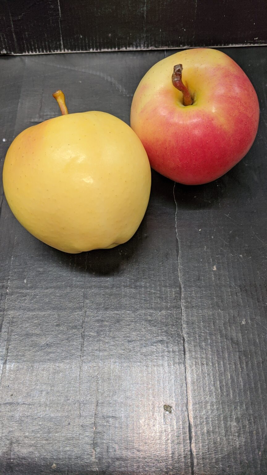 Golden Supreme Apples | Fleetwood Farms | Fresh Ontario Apples and ...